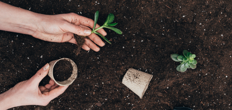 Los Angeles County Arboretum Ticketing